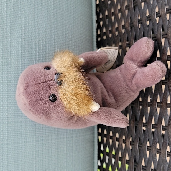 Beanie Babies | Toys | Vintage 996 Ty Beanie Baby Original Jolly The ...